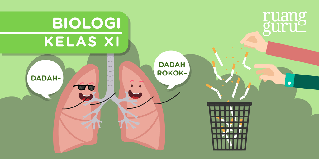 Ini yang Terjadi Pada Organ Tubuh Jika Kamu Berhenti Merokok | Biologi ...